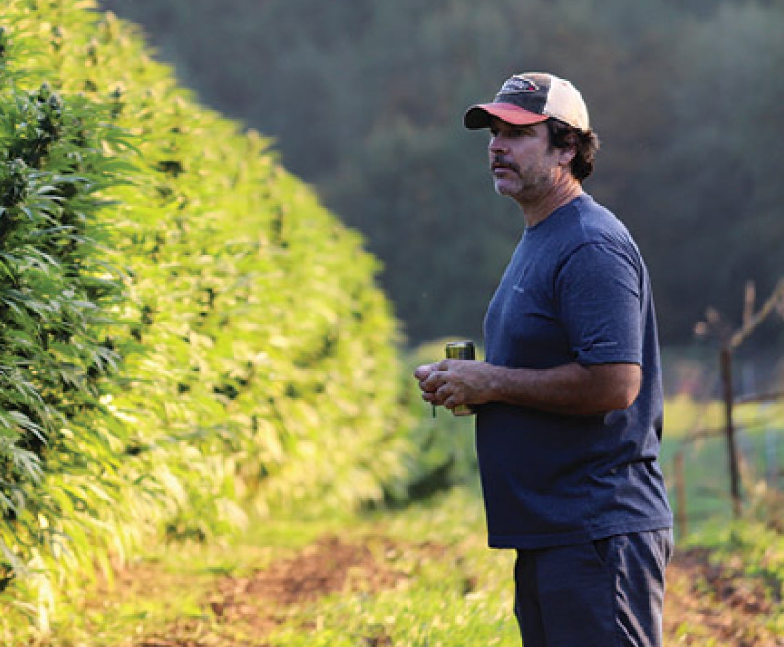 Our Farm | Drops Candies US